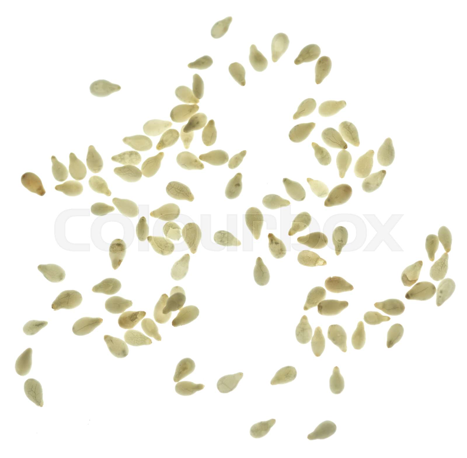 Sesame on white | Stock image | Colourbox