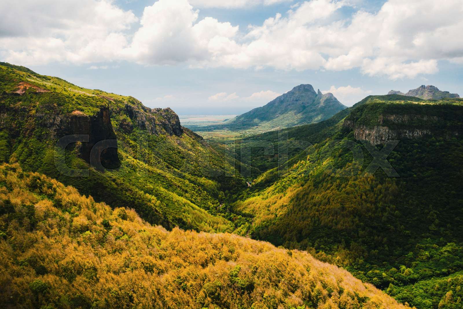 Mountain Landscape of the gorge on the island of Mauritius, Green ...