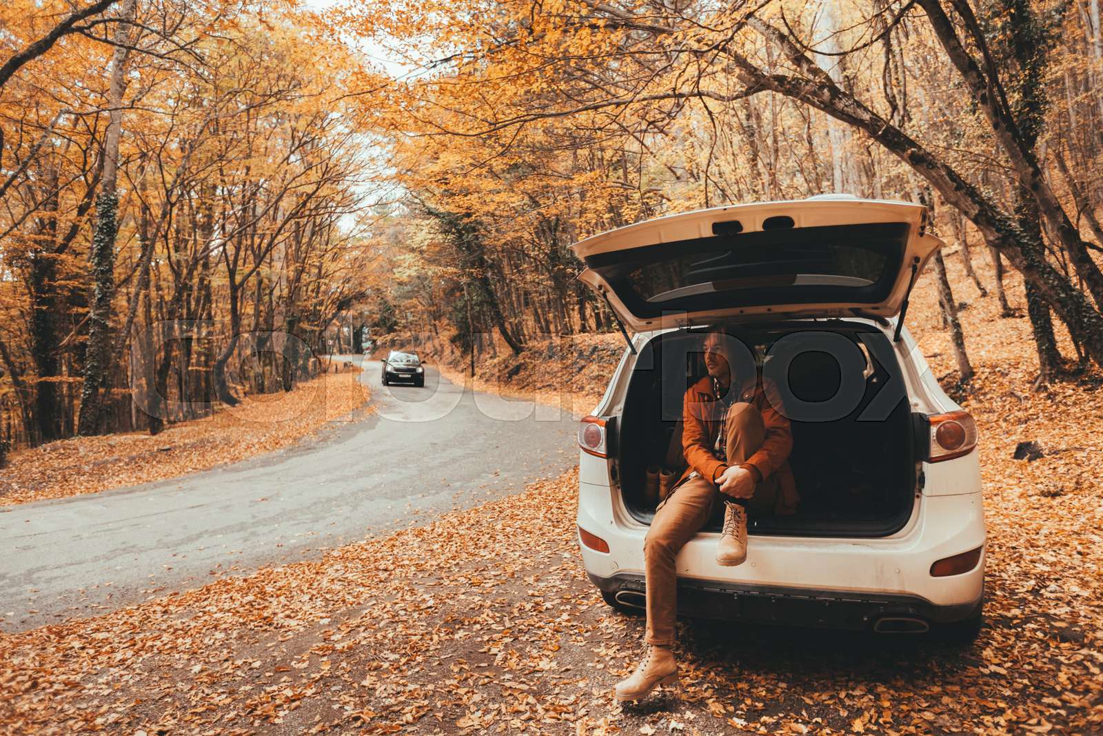 Man driving car in the forest among autumn woods | Stock image | Colourbox