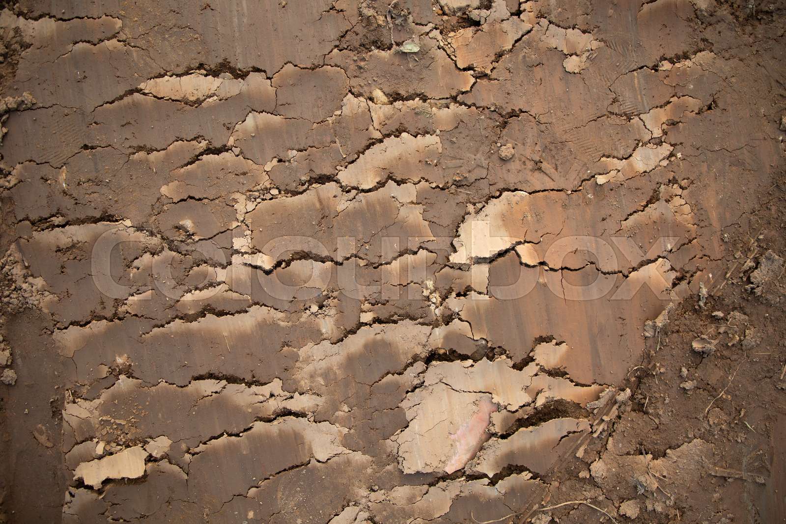 brown ground texture | Stock image | Colourbox