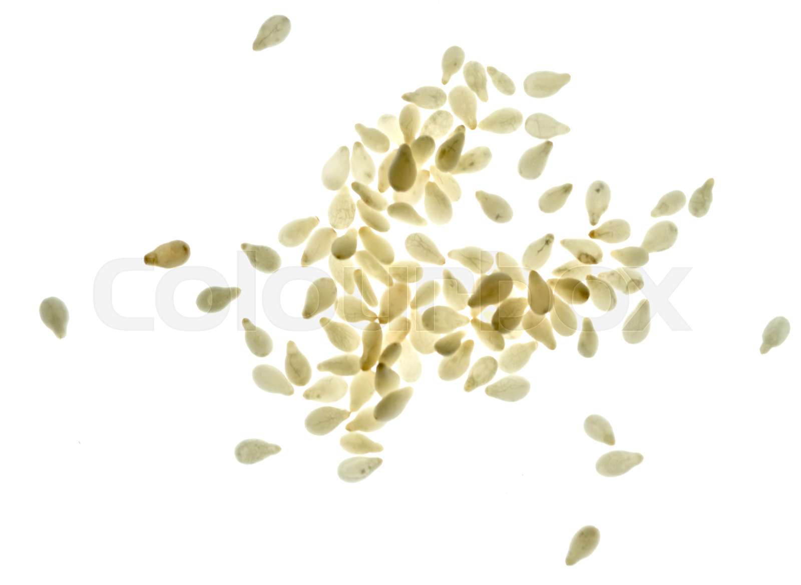 Sesame on white | Stock image | Colourbox