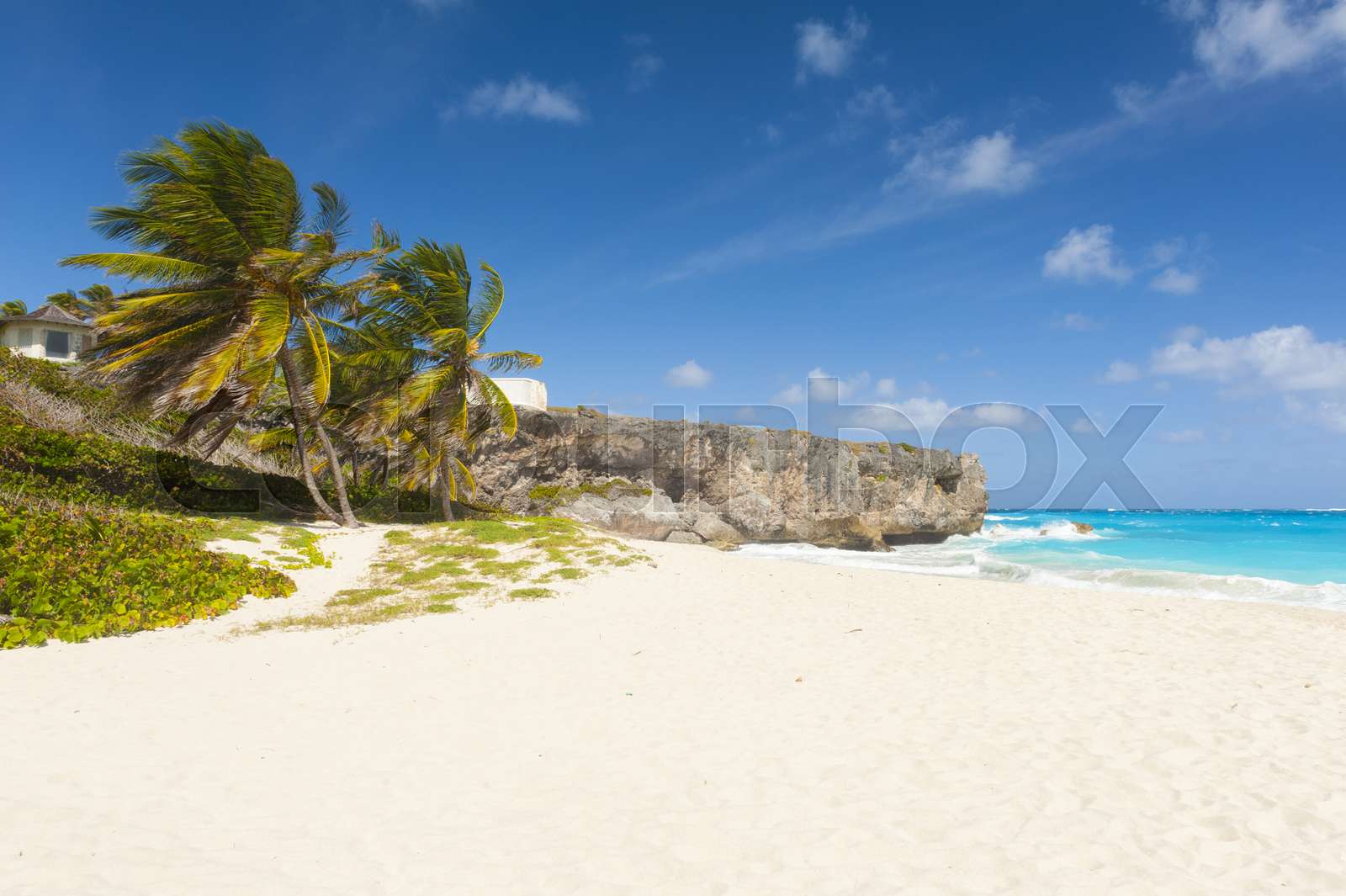 Bottom Bay | Stock image | Colourbox Bottom Bay | Stock image | Colourbox