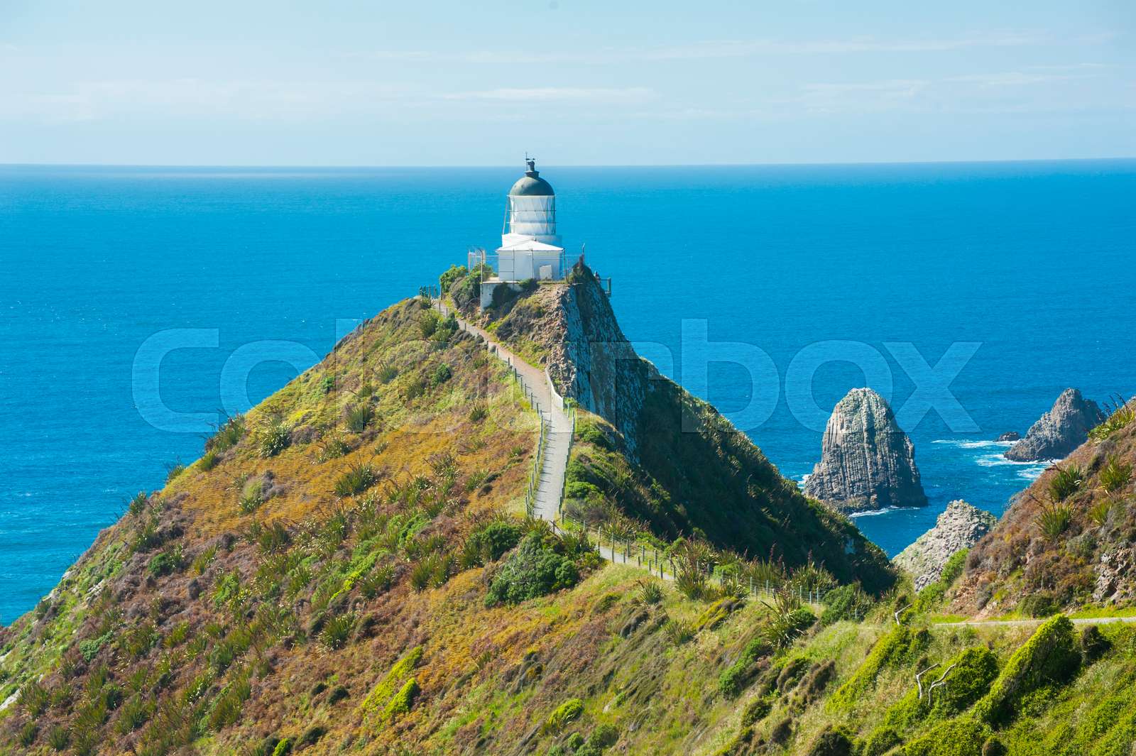 Nugget Point | Stock image | Colourbox