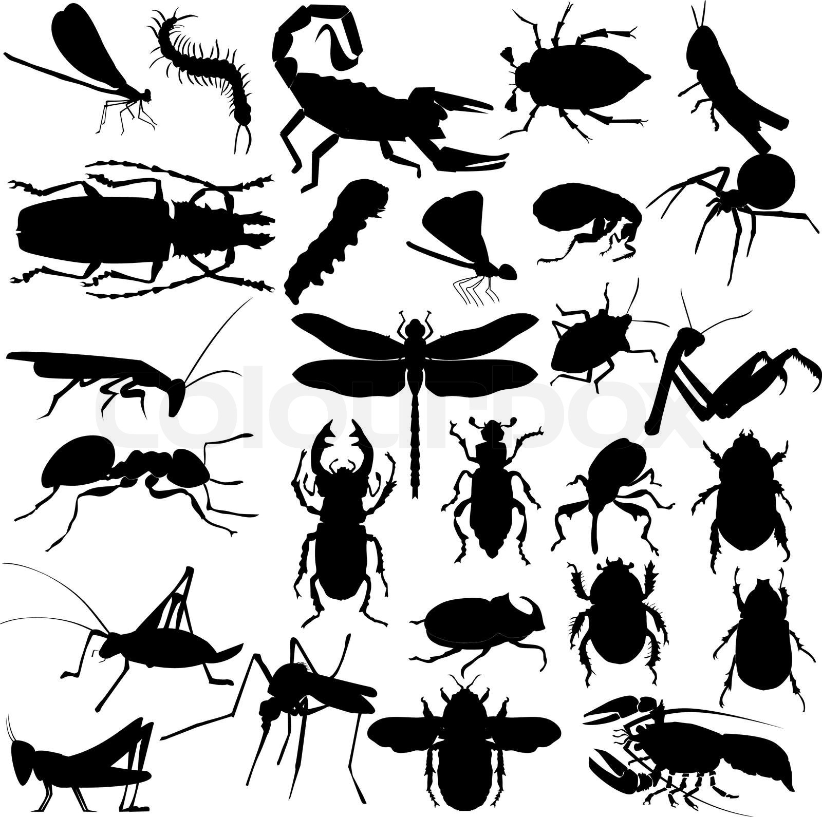 Silhouettes of insects | Stock vector | Colourbox