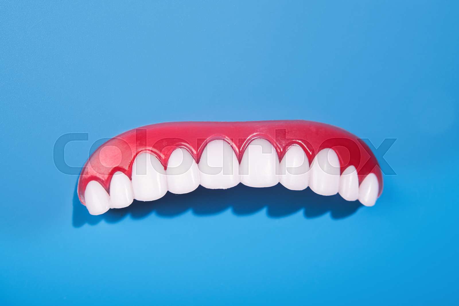 One model denture teeth prosthesis | Stock image | Colourbox