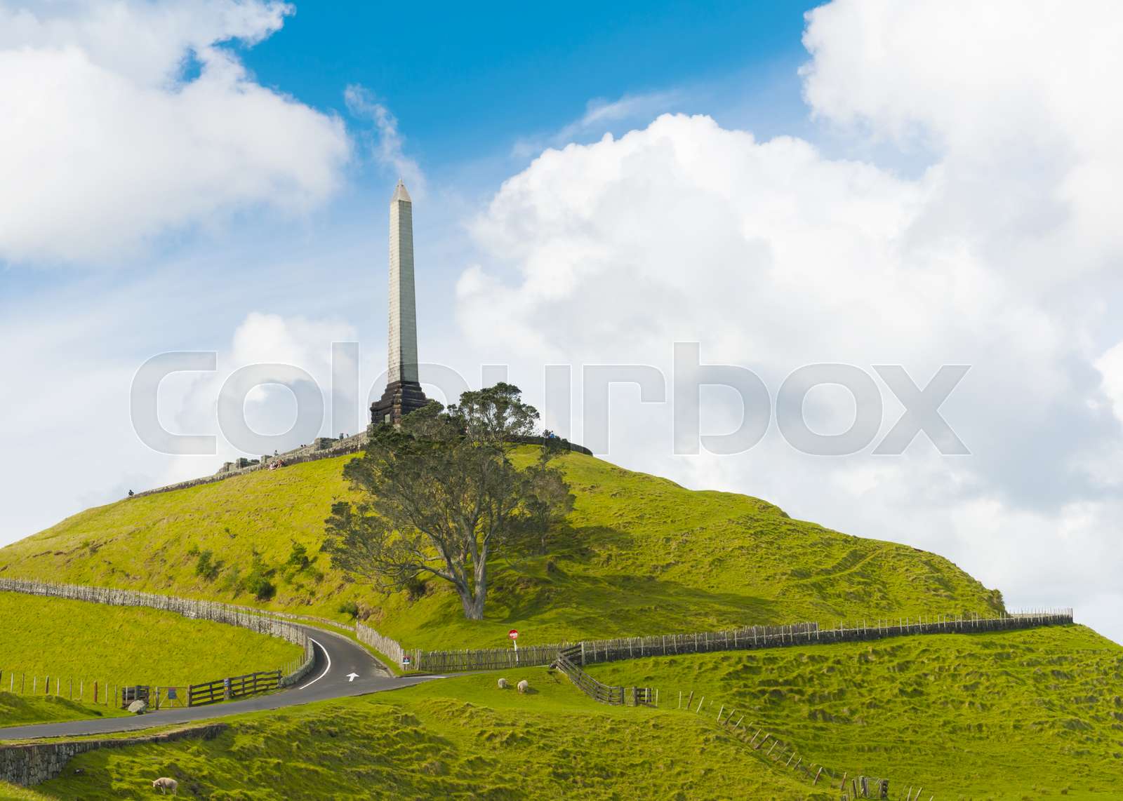 One Tree Hill | Stock image | Colourbox