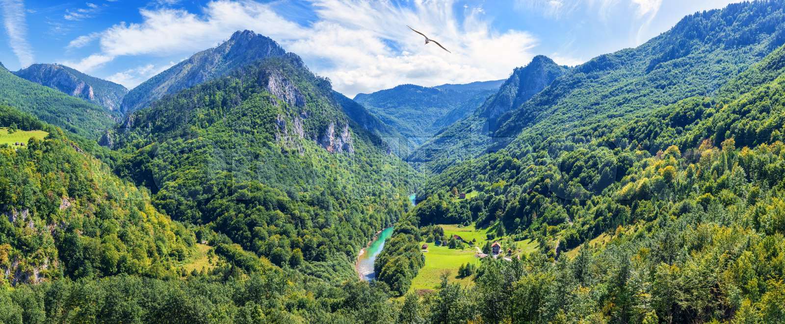 Moracha river in the valley of the mountains in Montenegro | Stock ...