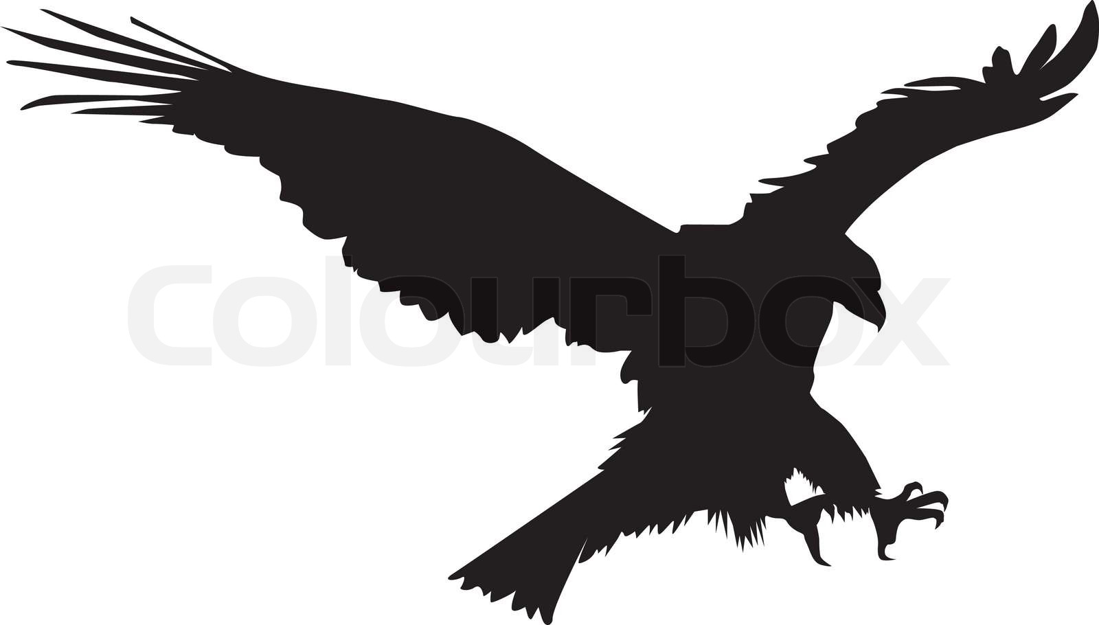 Adler im Anflug | Stock vector | Colourbox