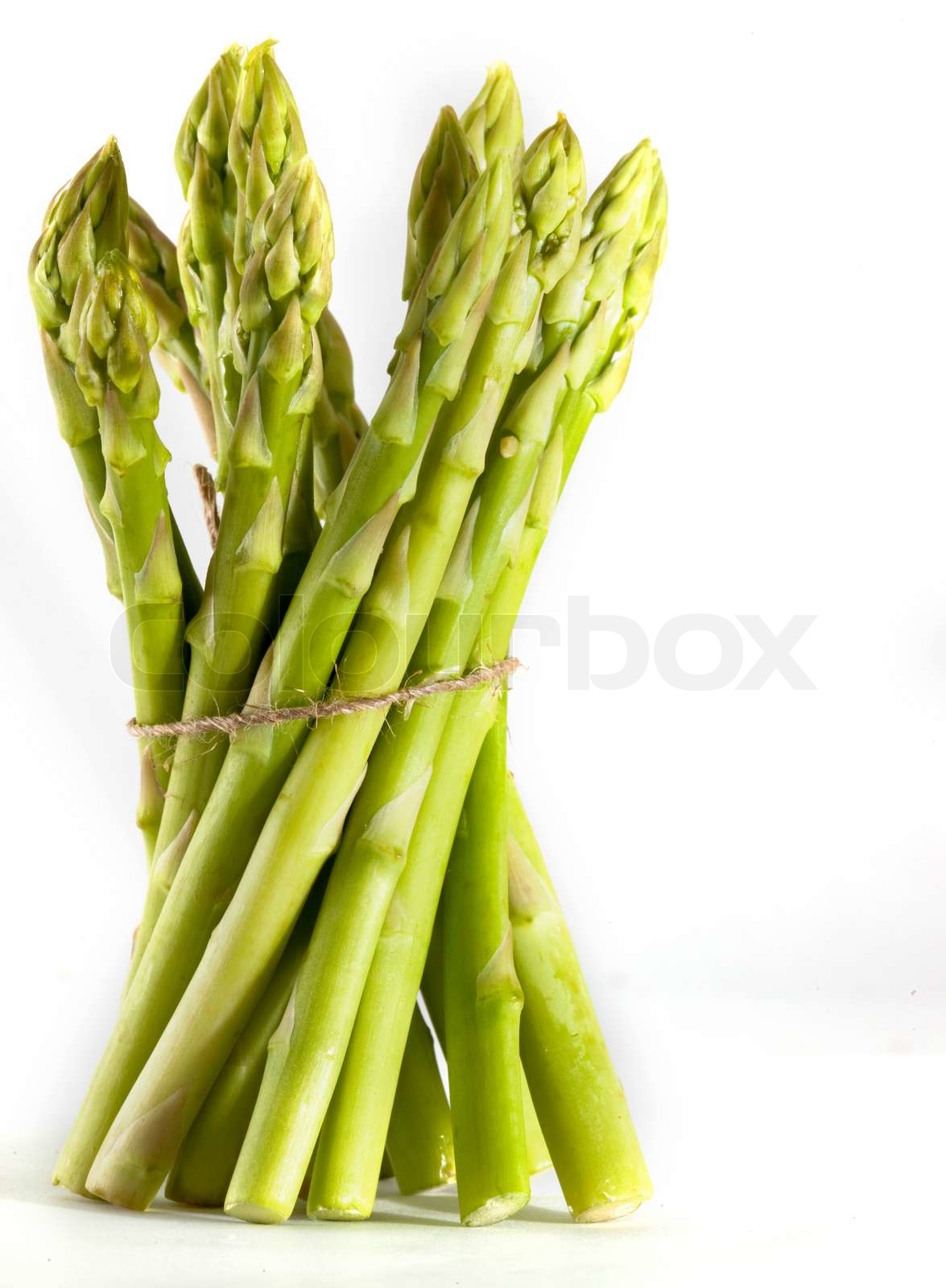 Spargel auf dem weißen Hintergrund | Stock Bild | Colourbox