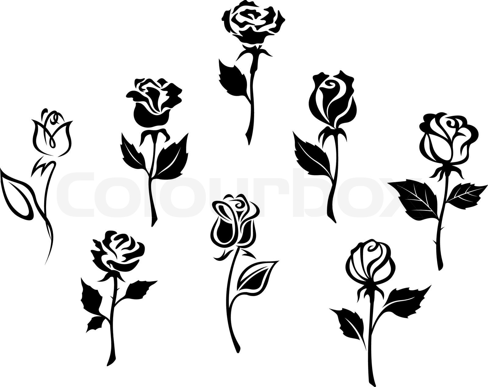 Beautiful roses set | Stock vector | Colourbox