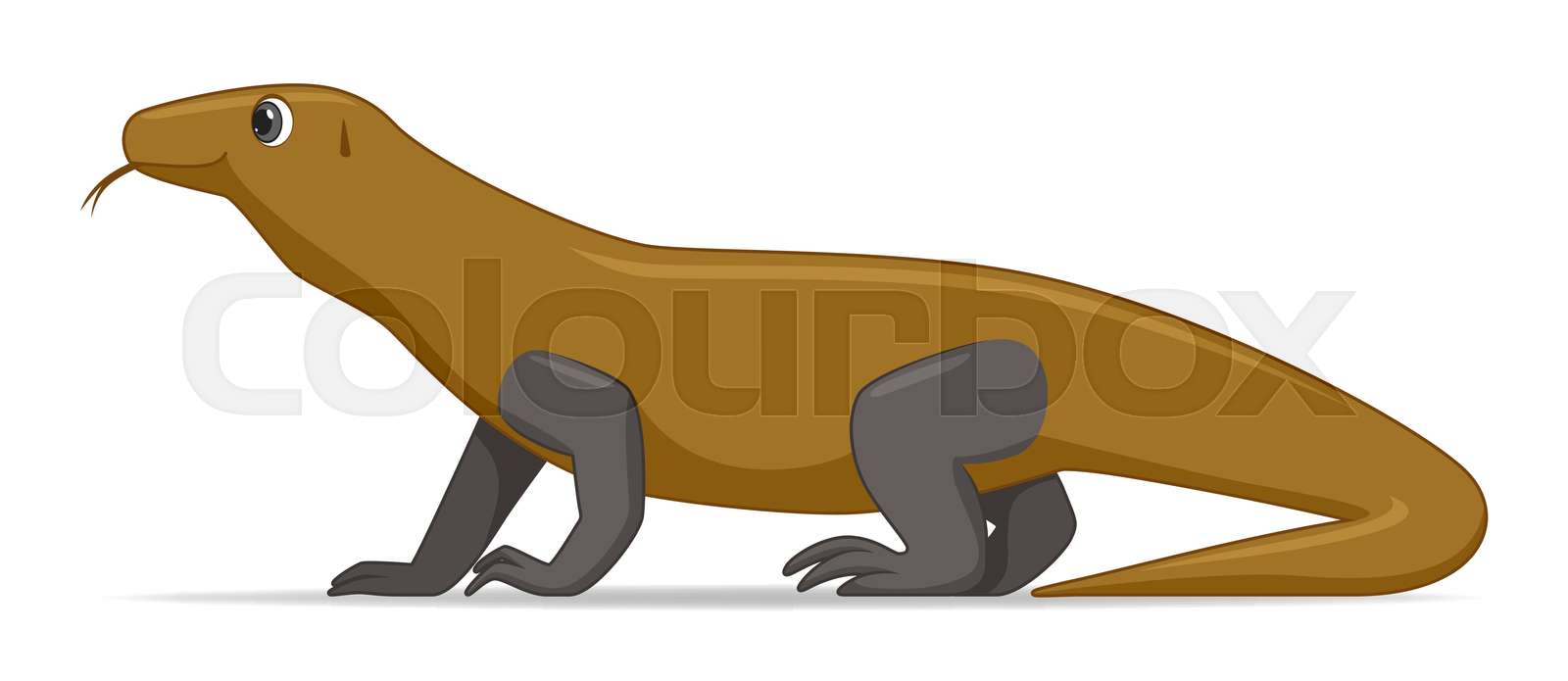 komodo, illustration, venlig | Stock vektor | Colourbox