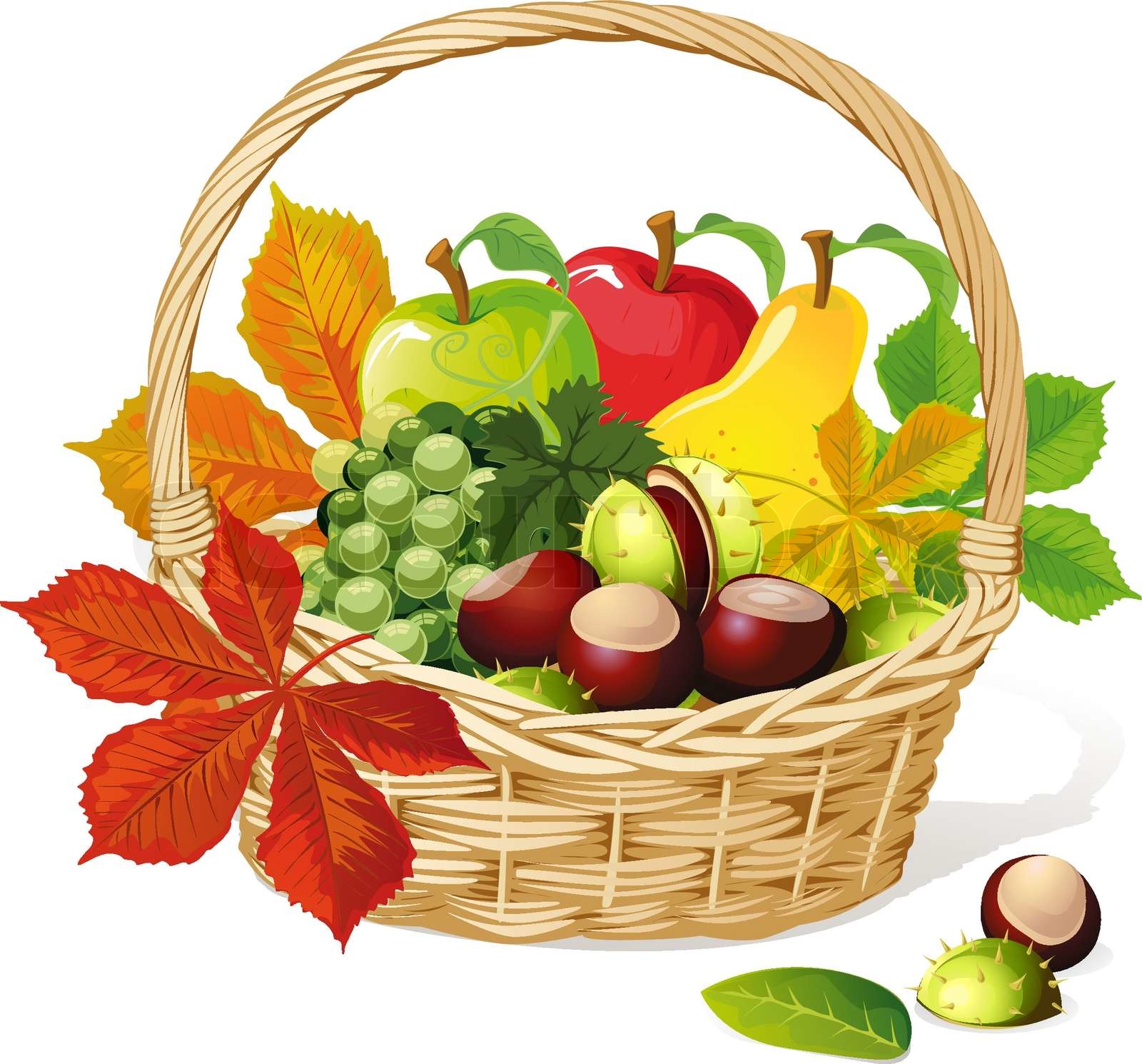 autumn basket with chesnut, apple and leaf | Stock vector | Colourbox