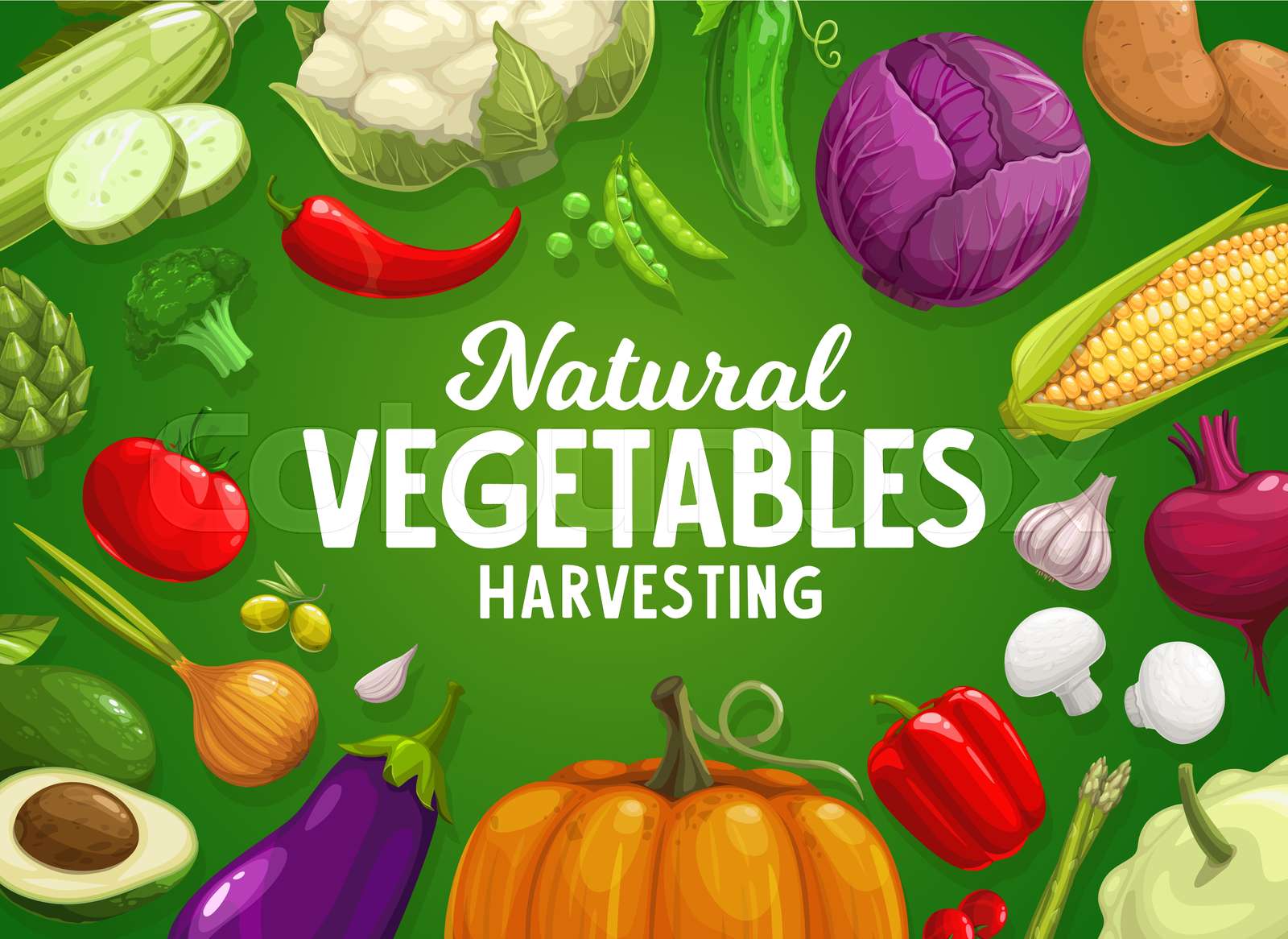 Vegetables and greener farm harvest vector banner | Stock vector ...