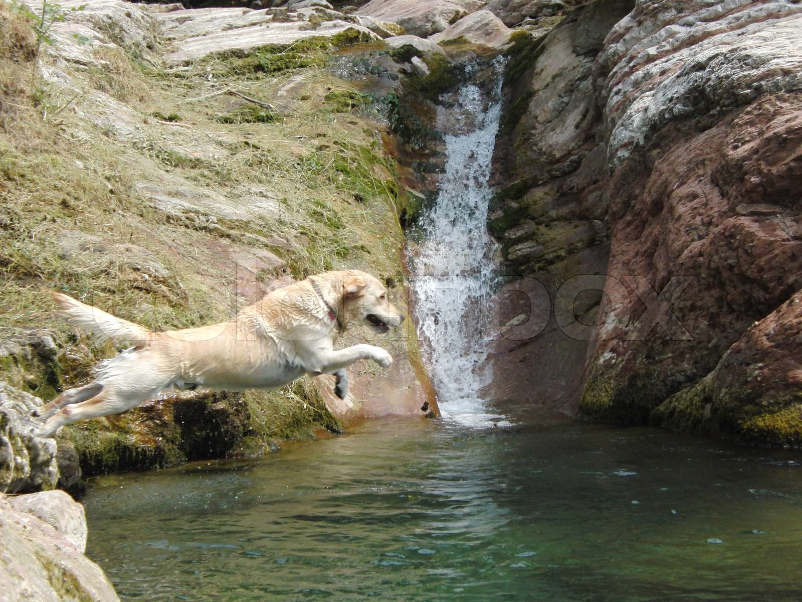 un tuffo al zocc | Stock image | Colourbox
