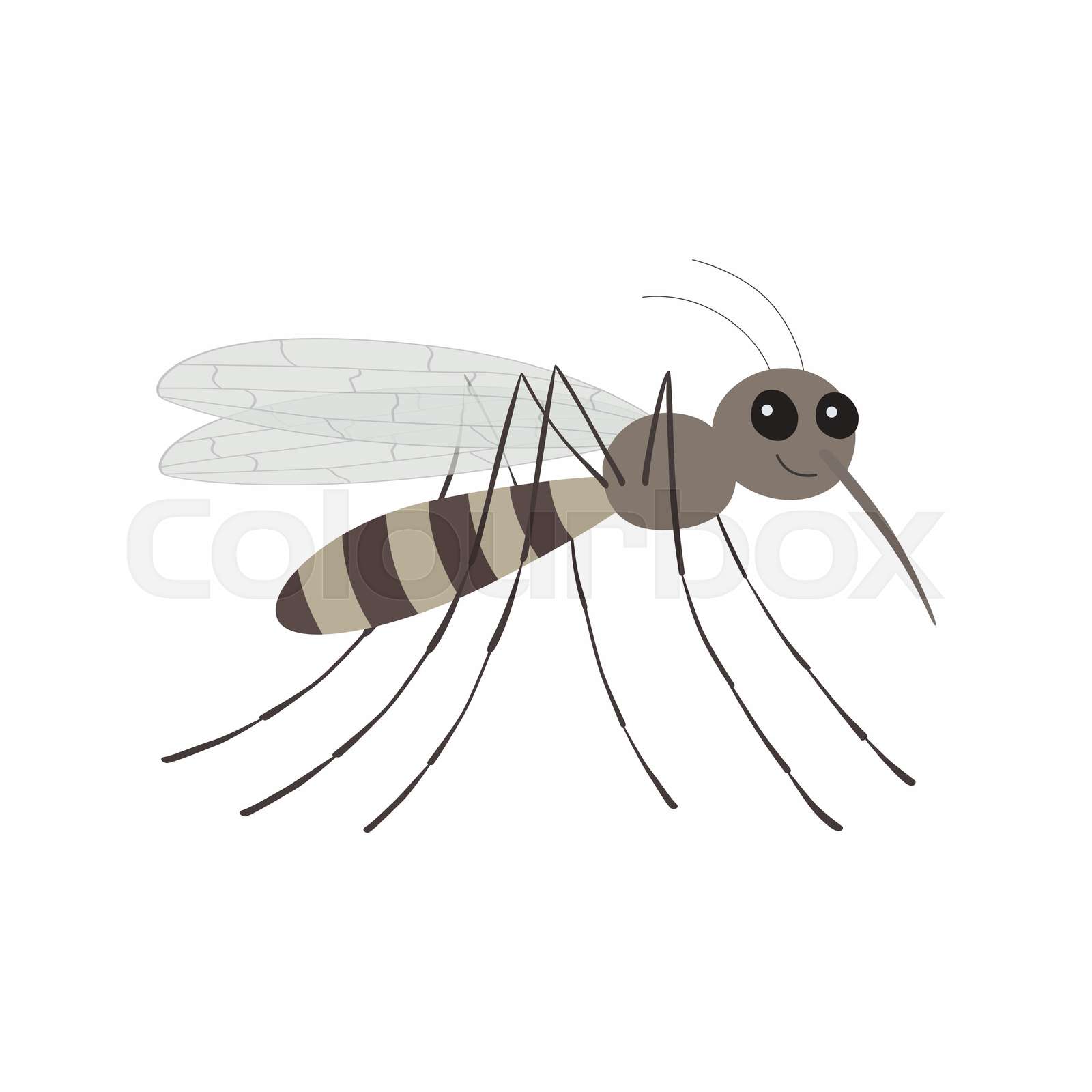 Cartoon mosquito character. Vector illustration Isolated. EPS10 | Stock ...