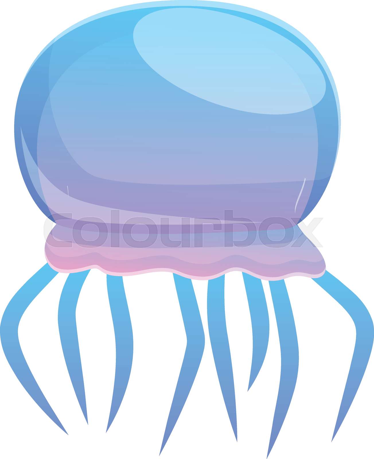 meer, qualle, icon | Stock-Vektor | Colourbox