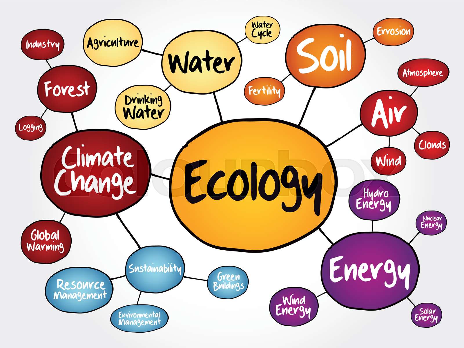 Ecology Mind Map Flowchart Concept For Presentations And Reports
