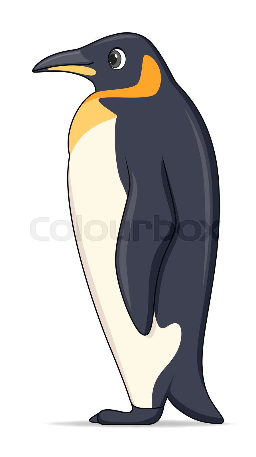 Emperor Penguin Cartoon