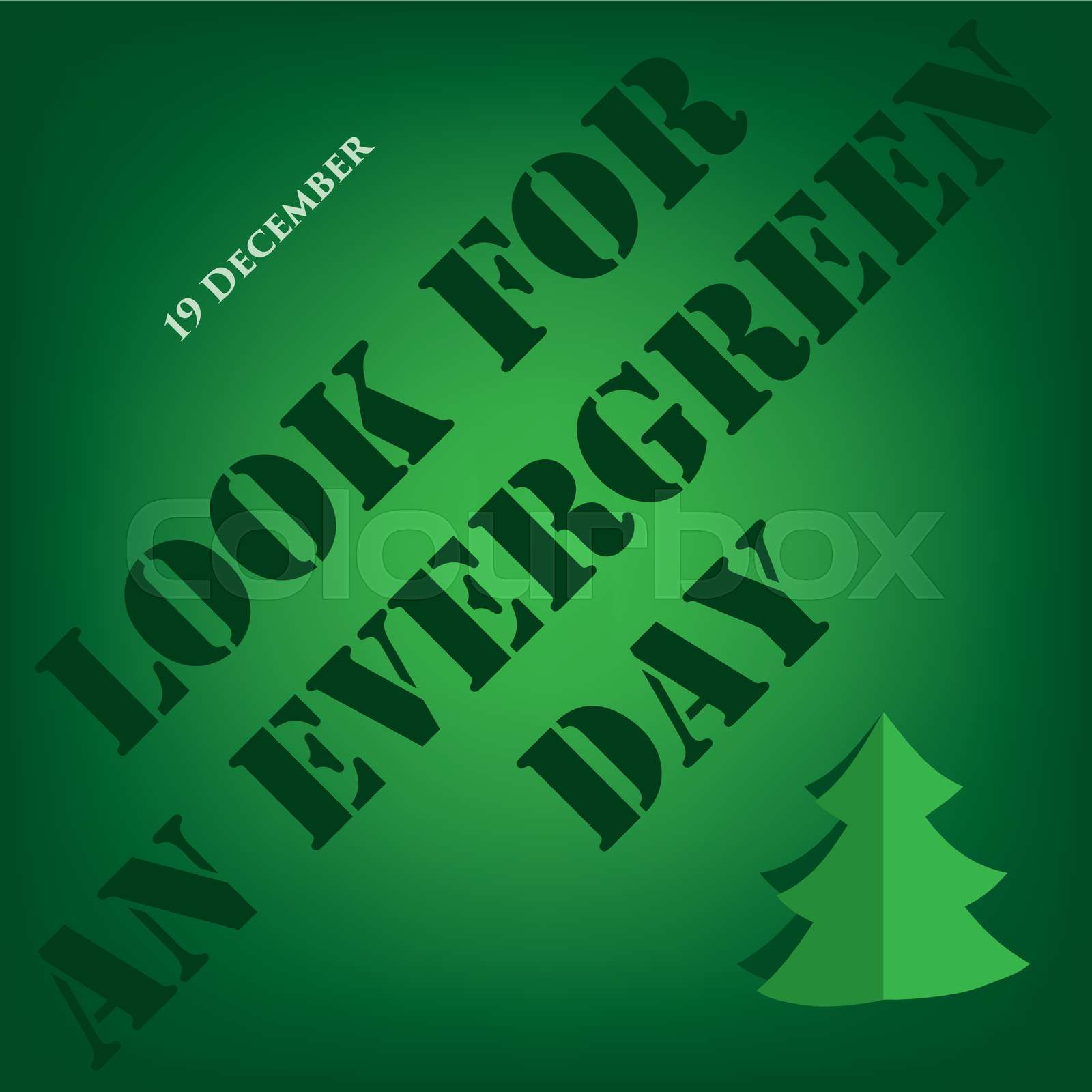 Look For An Evergreen Day