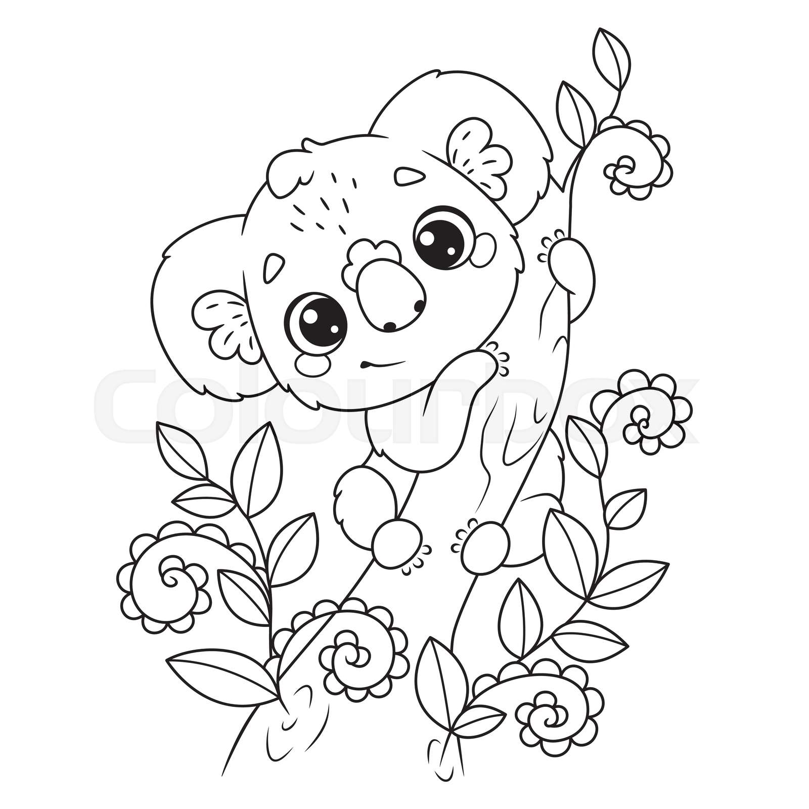Koala Bear Coloring Page