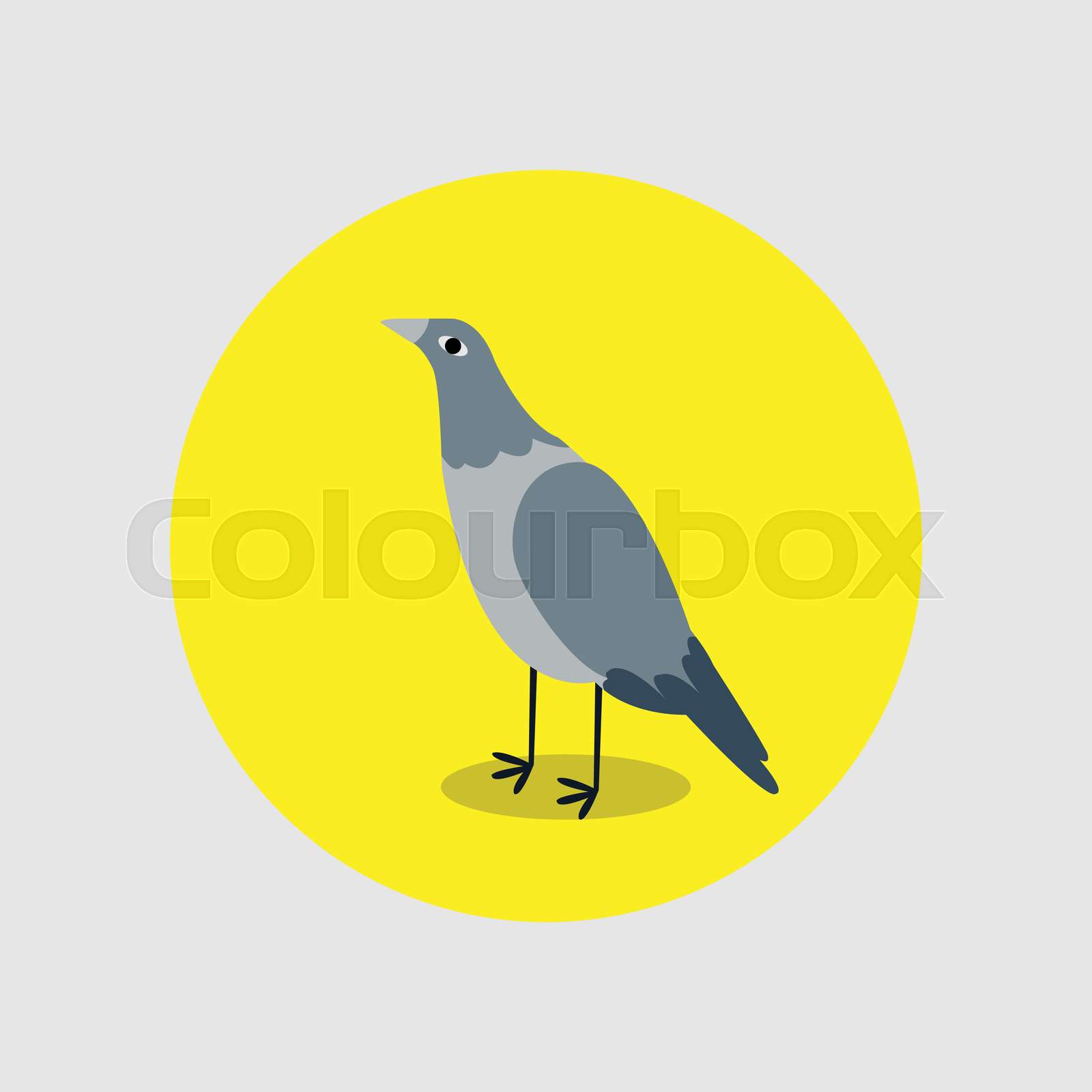 Pigeon flat cartoon in yellow circle.Bird character graphic | Stock ...
