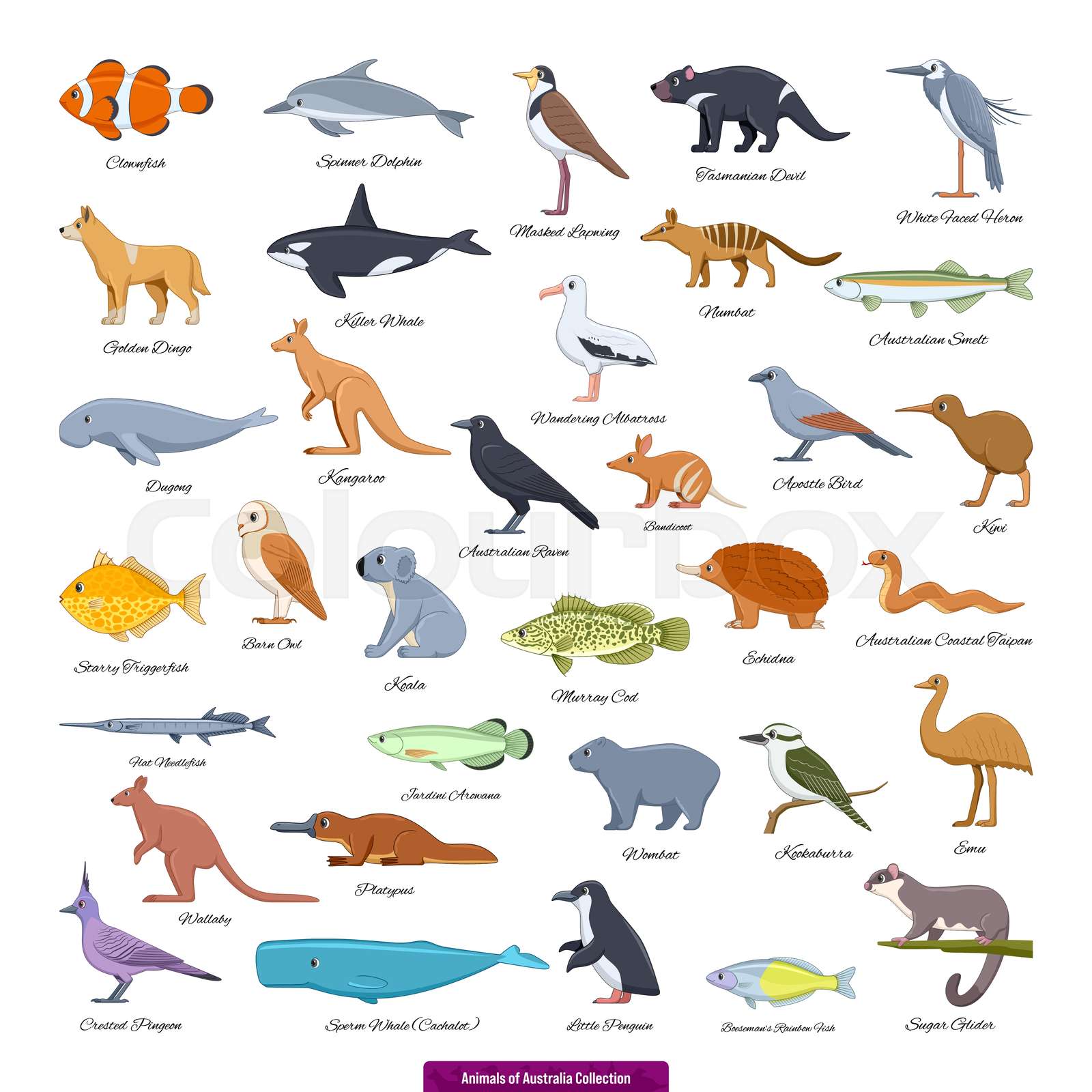 Animals of Australia Collection | Stock vector | Colourbox