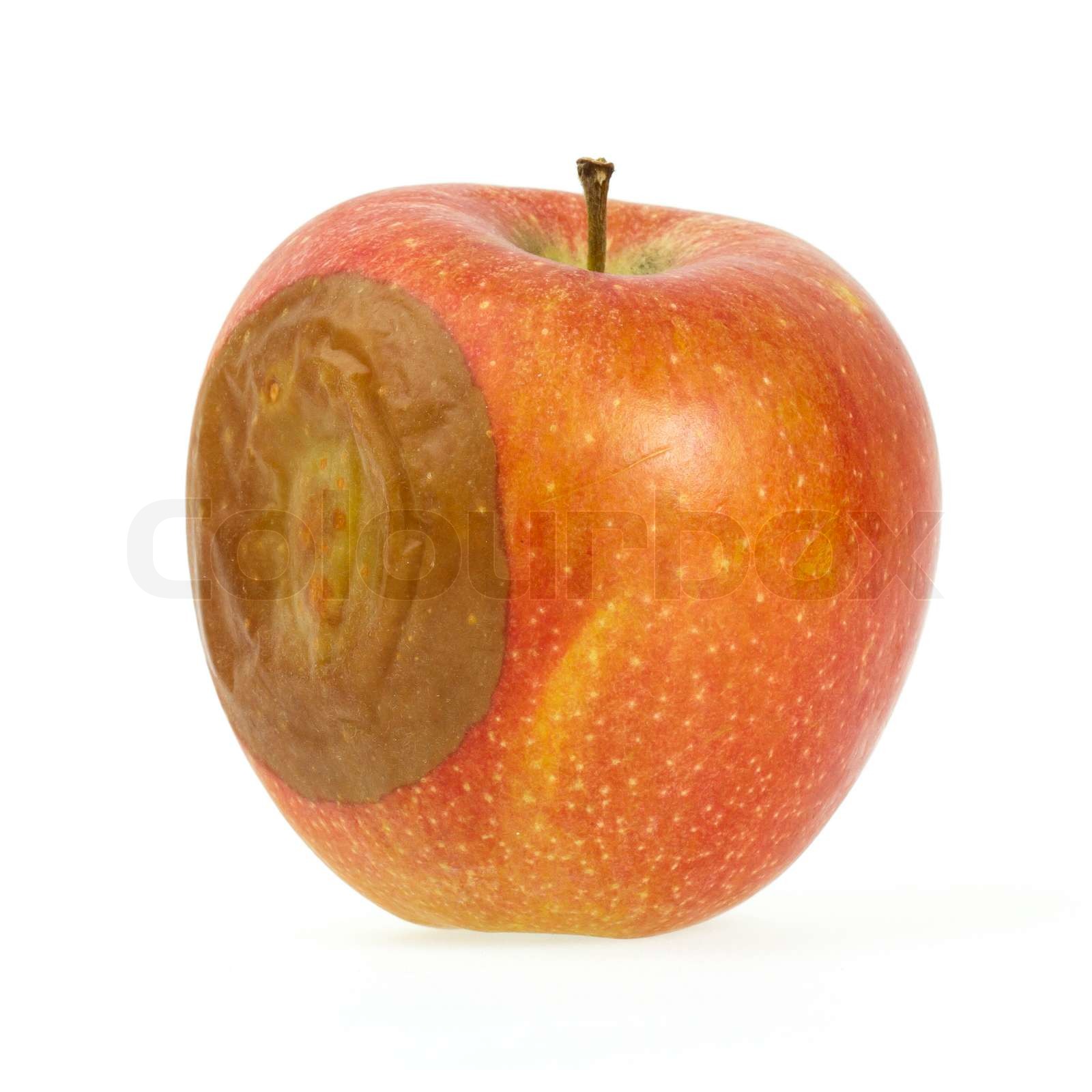 One bad red apple | Stock image | Colourbox