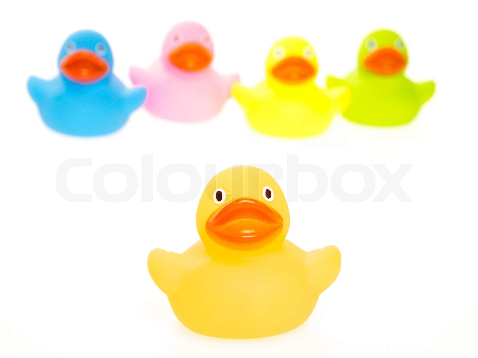 Rubber Ducks Isolated Stock Image Colourbox