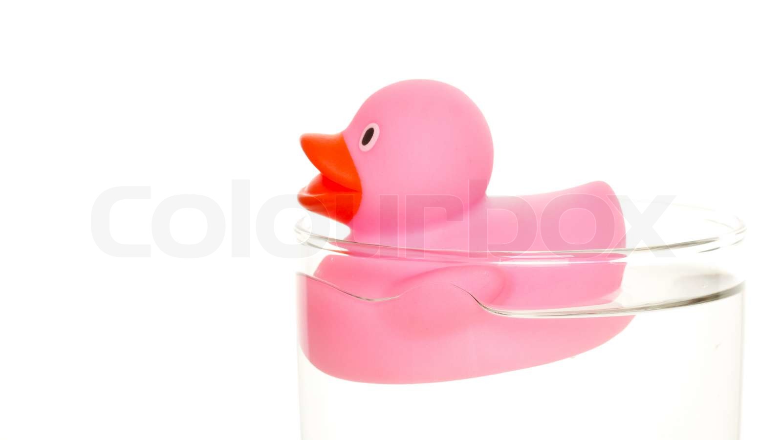 Pink duck | Stock image | Colourbox