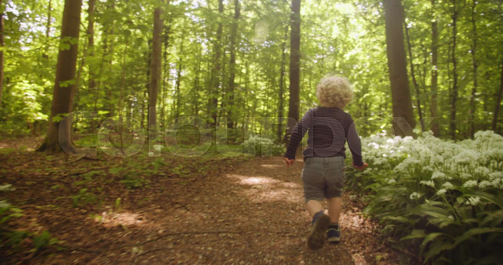 Male Toddler Running Freely Along the Forest Path with Trees Everywhere ...