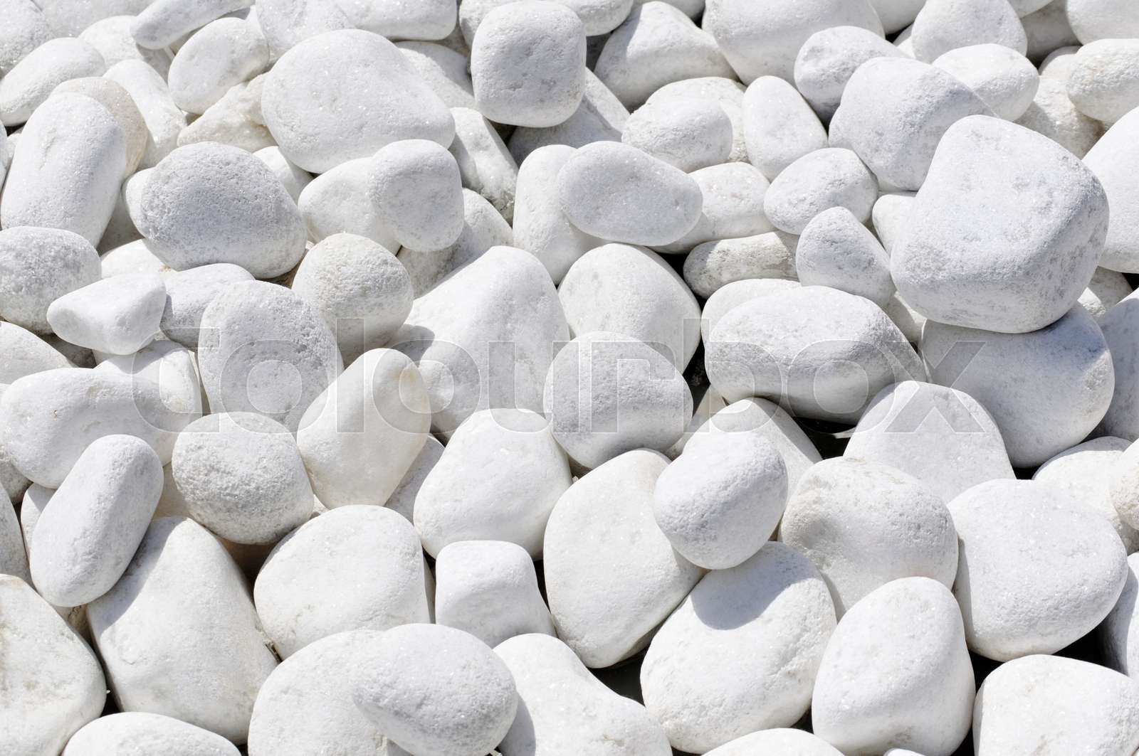 Beach large white stones of different sizes illuminated by the sun ...