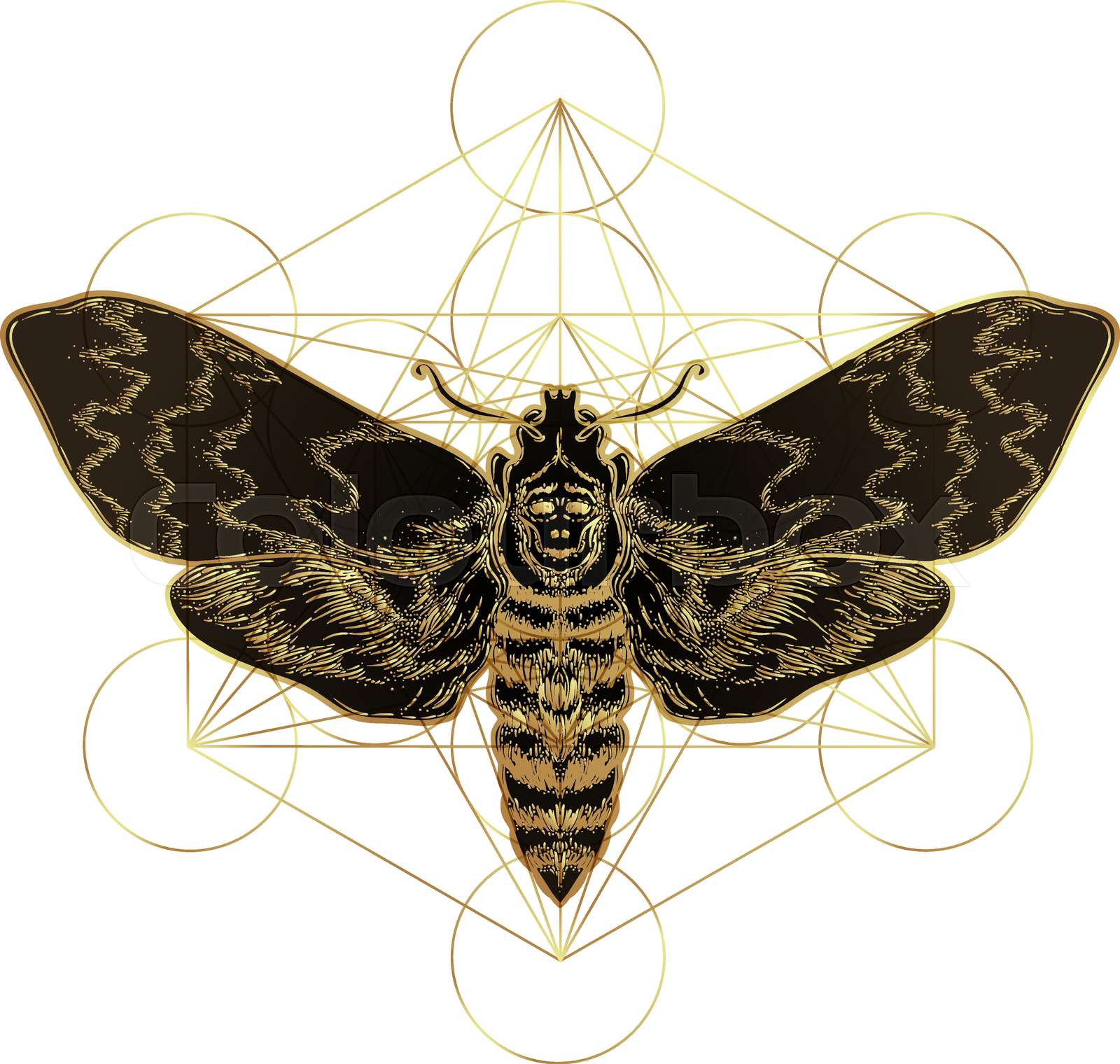 Golden moth over sacred geometry sign, isolated vector illustration ...