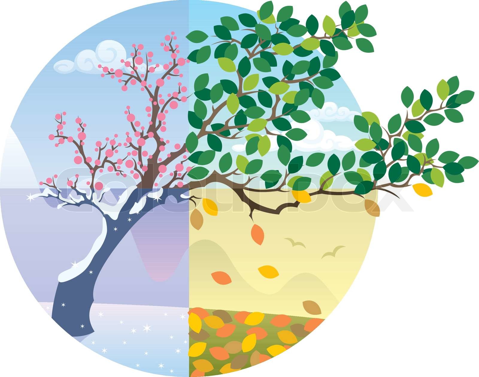 Seasons Cycle | Stock vector | Colourbox