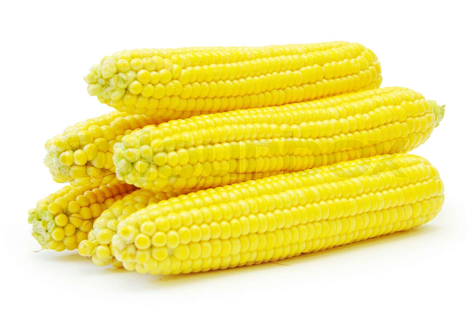 maize | Stock image | Colourbox
