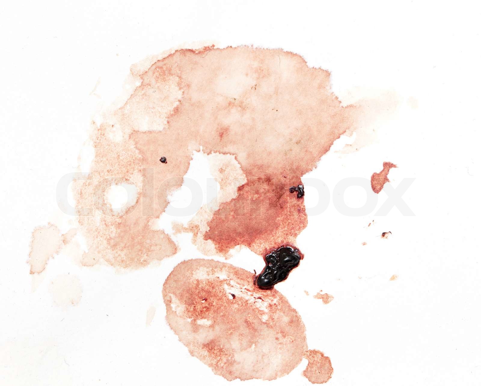 dry blood on the white paper | Stock image | Colourbox