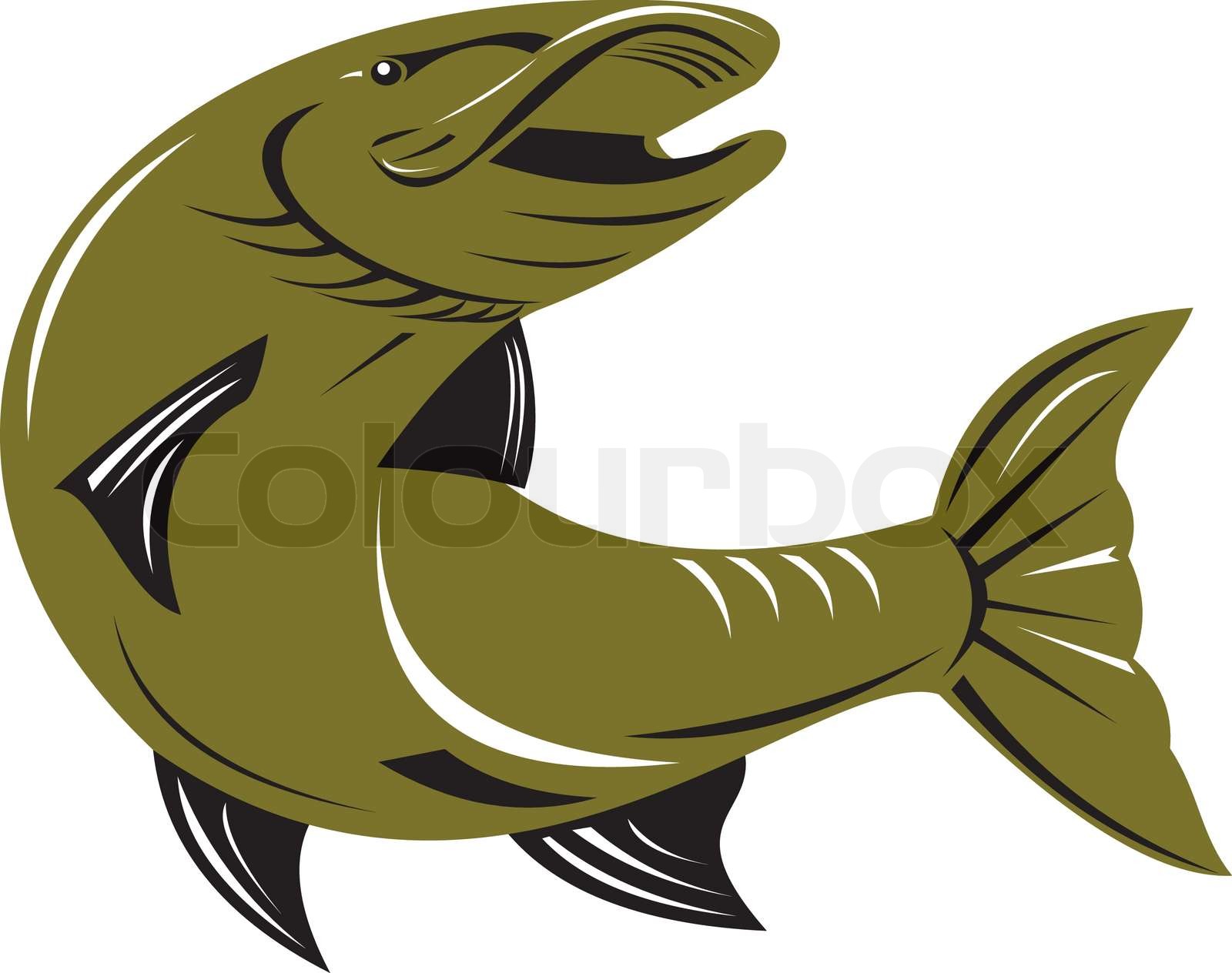 tegneserie, fisk, illustration | Stock vektor | Colourbox