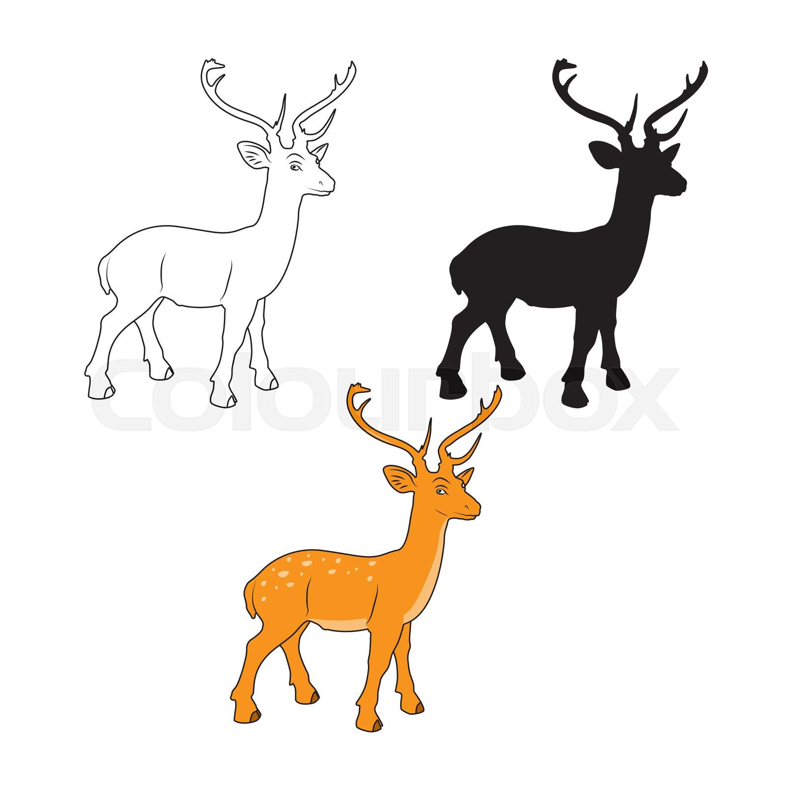 brun, tegning, dyr | Stock vektor | Colourbox