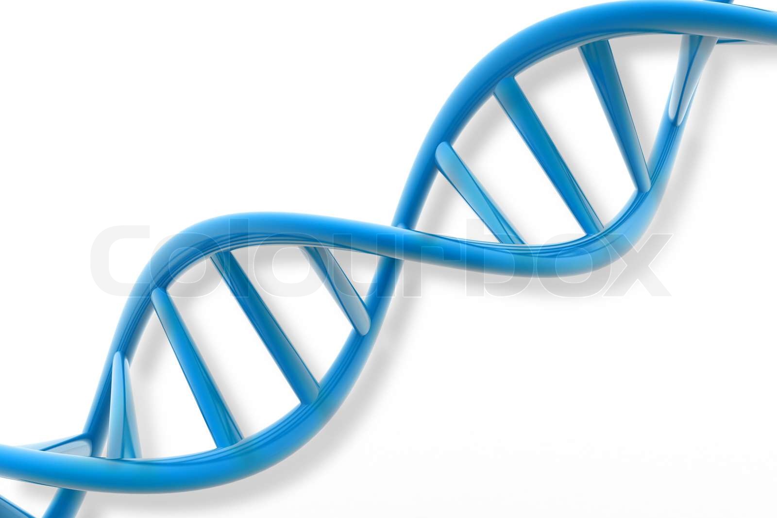 dna, streng, biotek | Stock foto | Colourbox