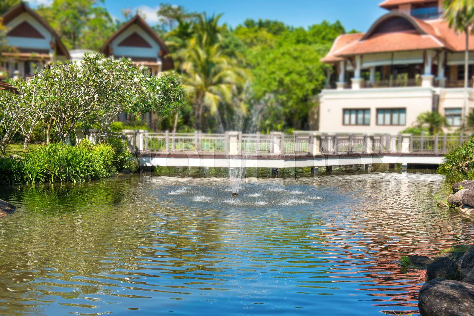 Green pond and buildings of hotel at tropical resort | Stock image ...