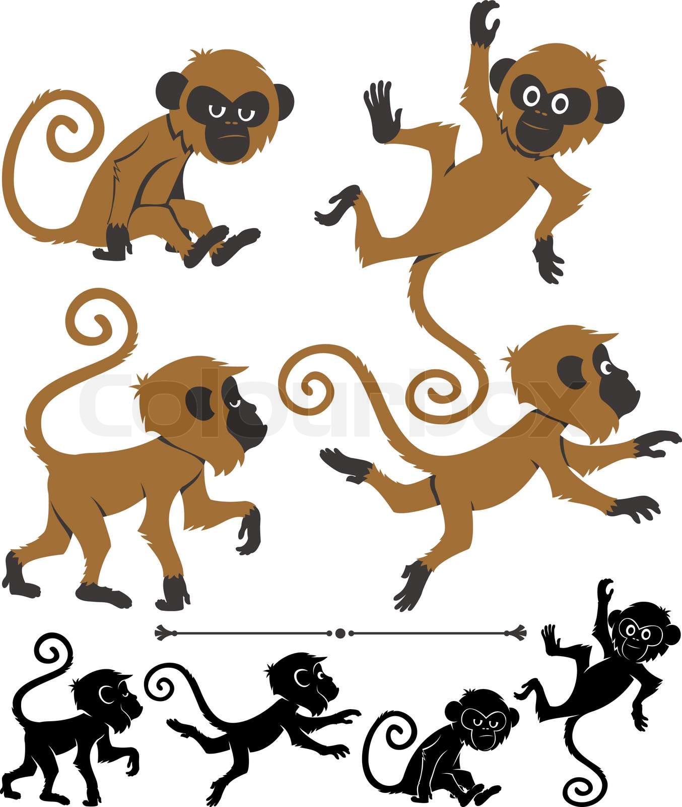 Monkeys | Stock vector | Colourbox
