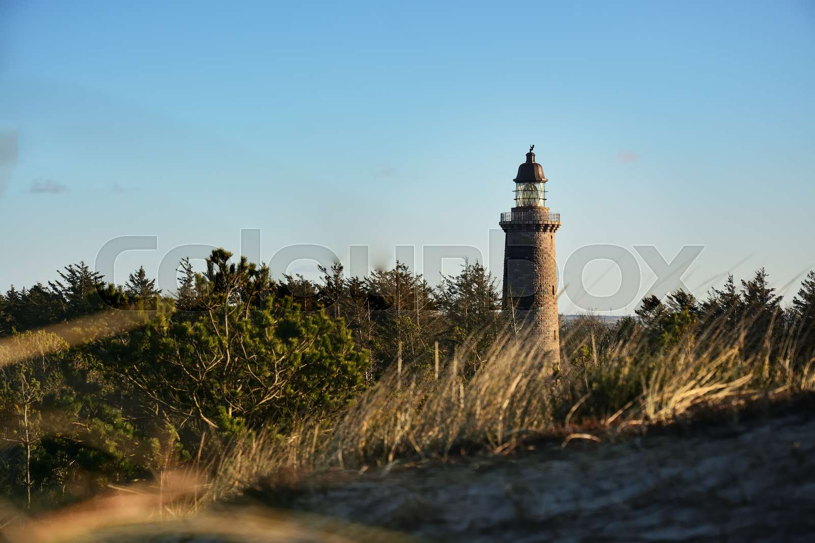 Lodbjerg fyr surrounded by woodland | Stock image | Colourbox