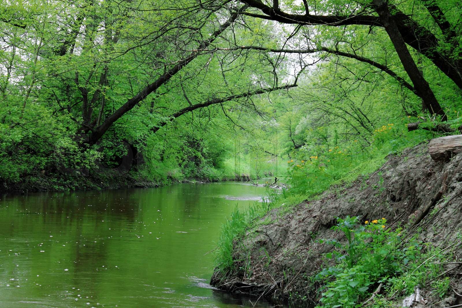 riverside at spring | Stock image | Colourbox