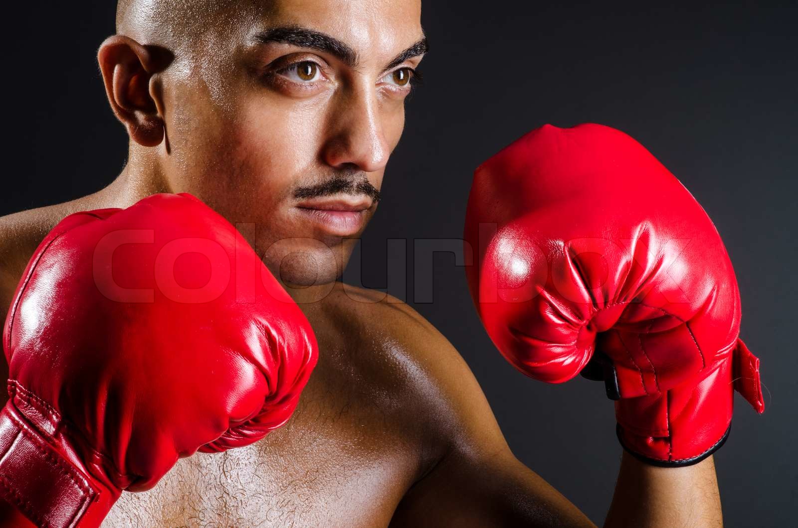 Muscular boxer in studio shooting | Stock image | Colourbox
