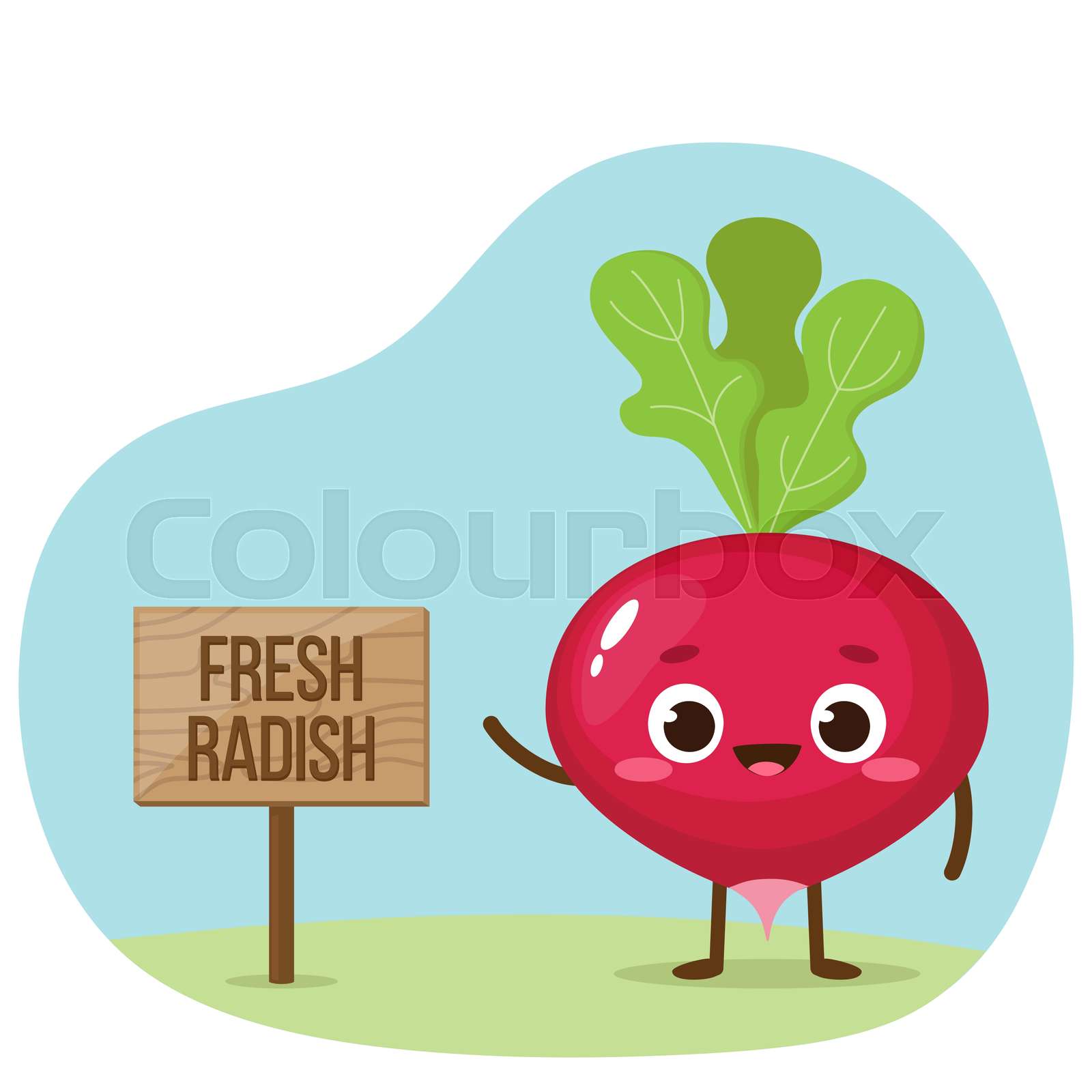 Cartoon cute radish character vector with banner | Stock vector | Colourbox