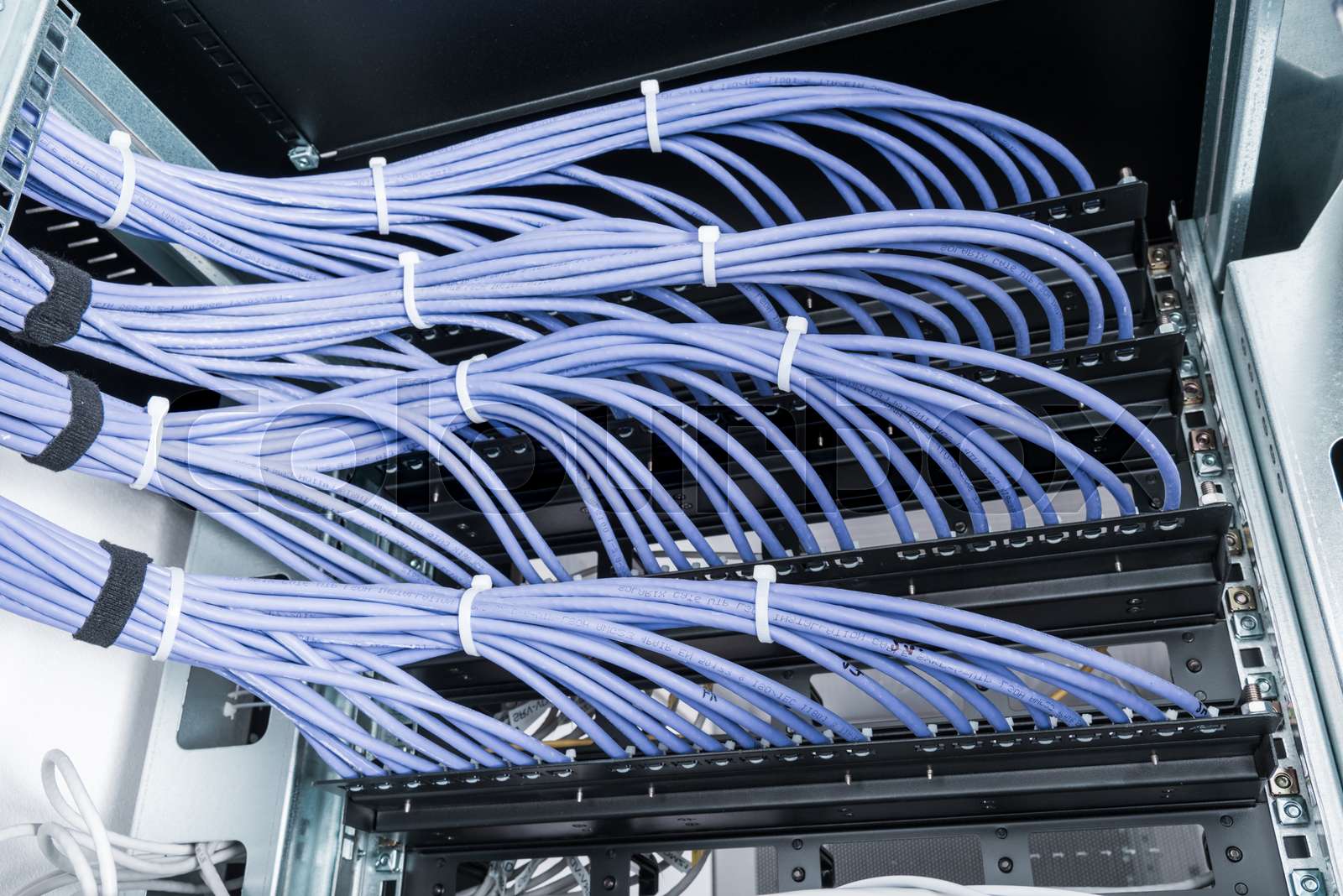 large group of UTP cables, Ethernet cables in rack cabinet, lead ...