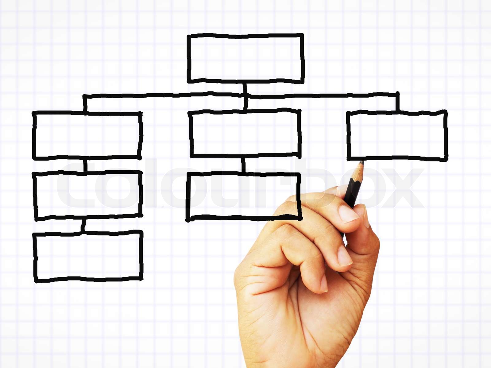 organization drawing by hand sketching | Stock image | Colourbox