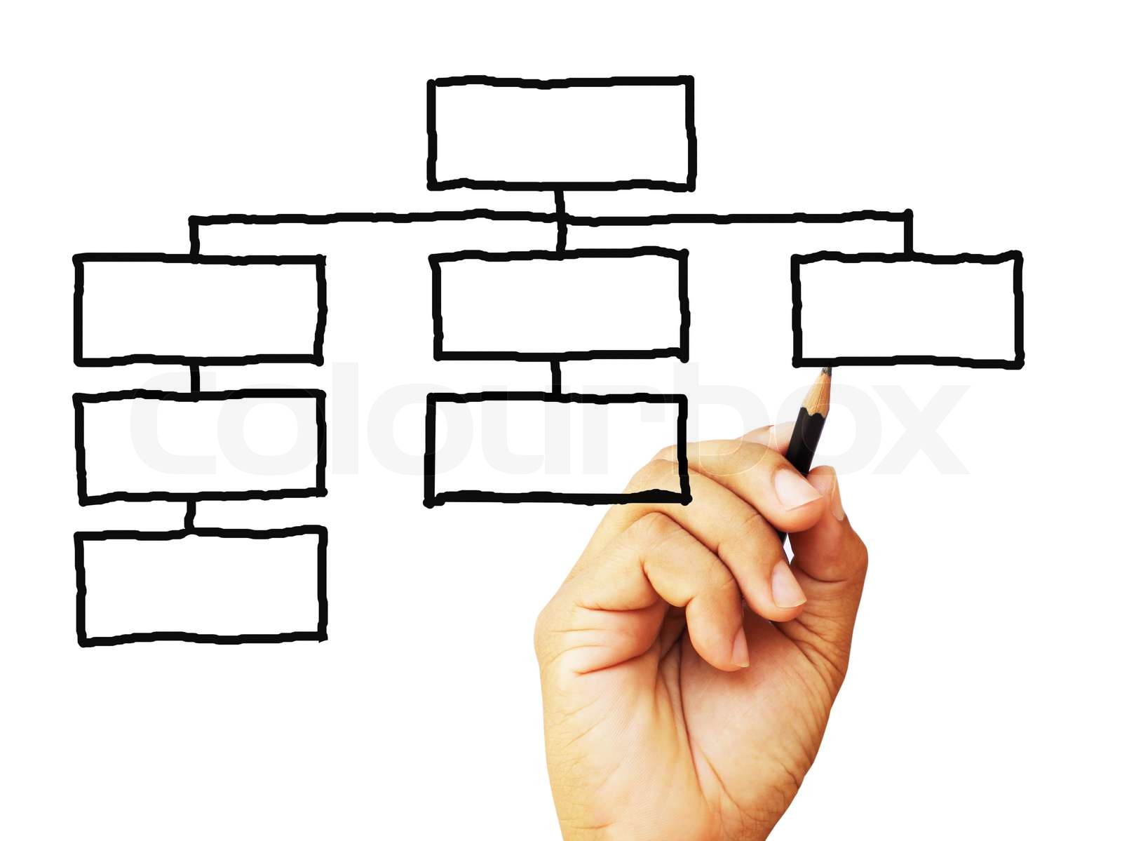 organization drawing by hand sketching | Stock image | Colourbox