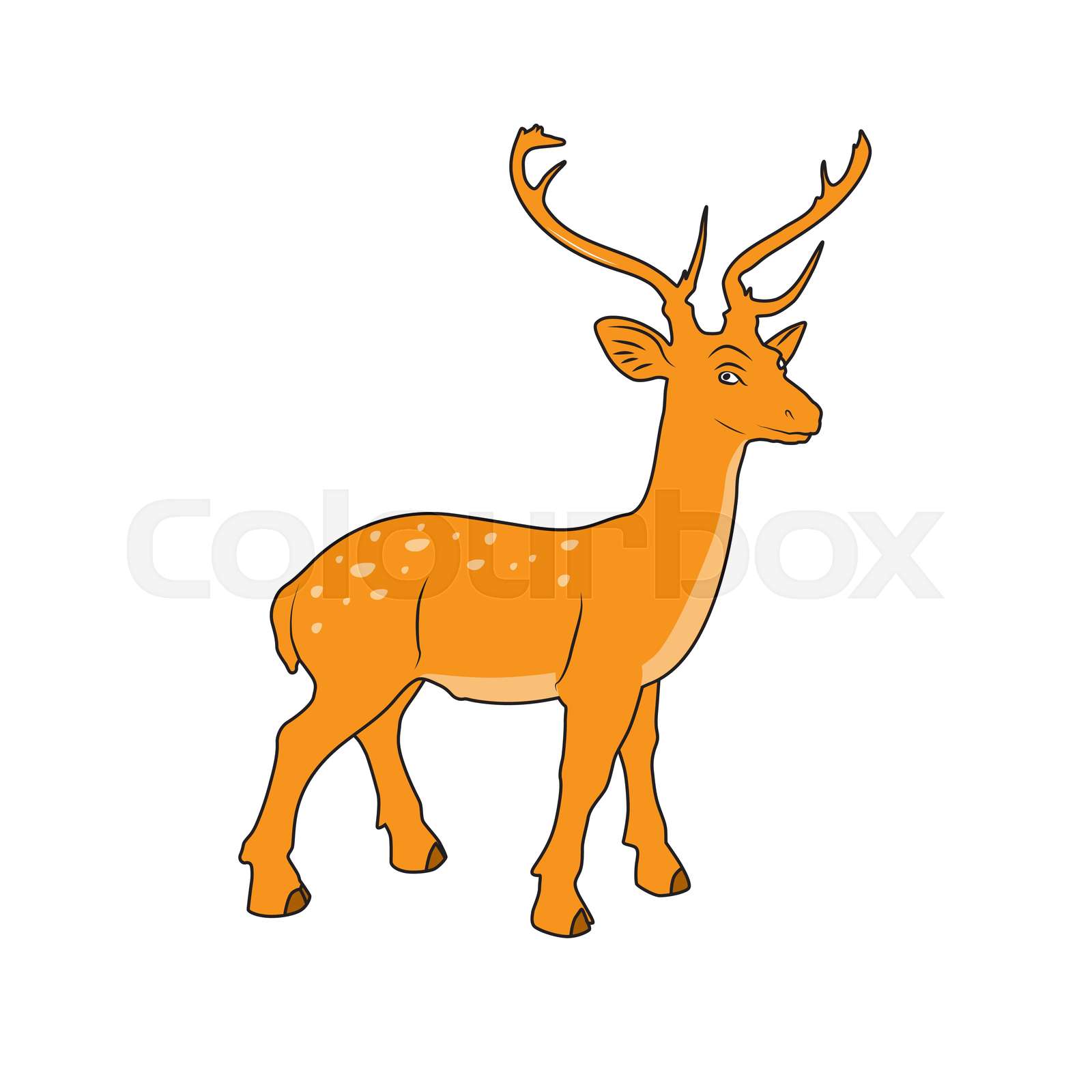 brun, tegning, dyr | Stock vektor | Colourbox