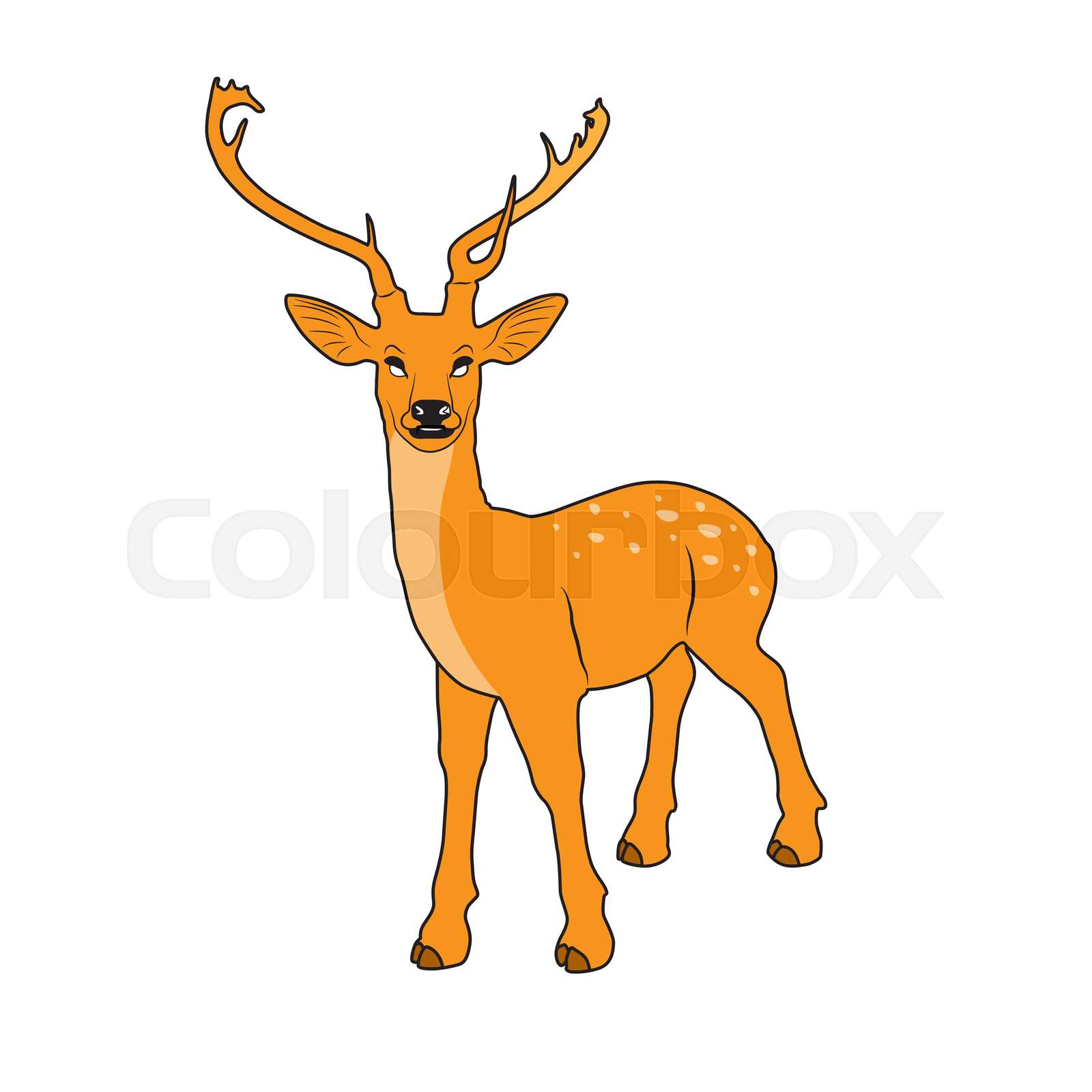 brun, tegning, dyr | Stock vektor | Colourbox