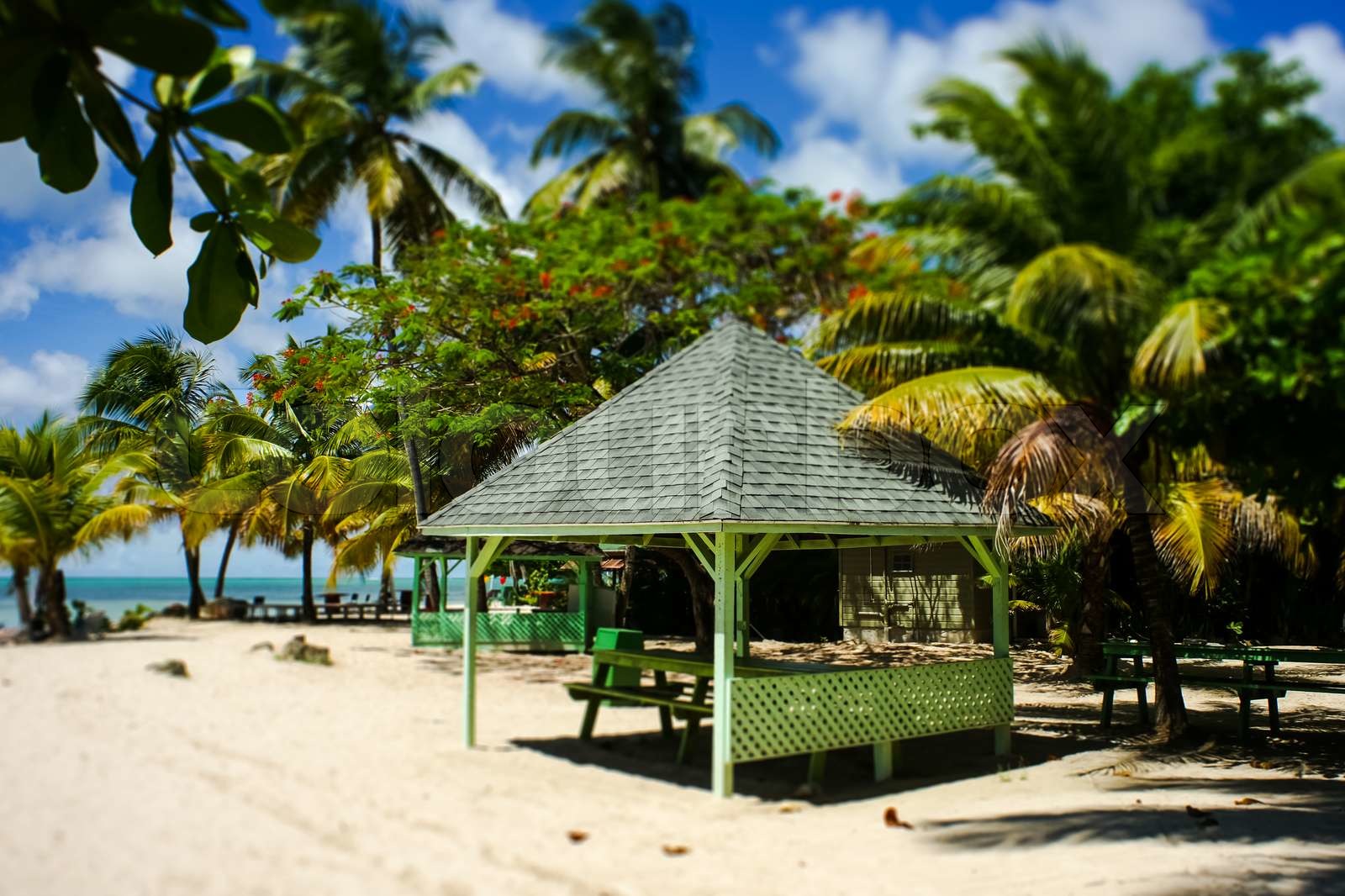 Hut at a tropical resort | Stock image | Colourbox